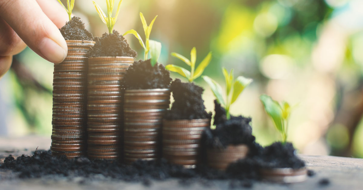 4 Reasons Why Professional Cleaning is a Wise Investment - innovatefm